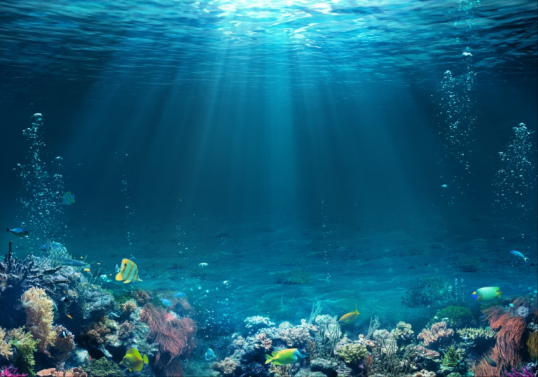 Okeanski startapovi: Ključni igrači u borbi protiv globalnog zagrevanja ...